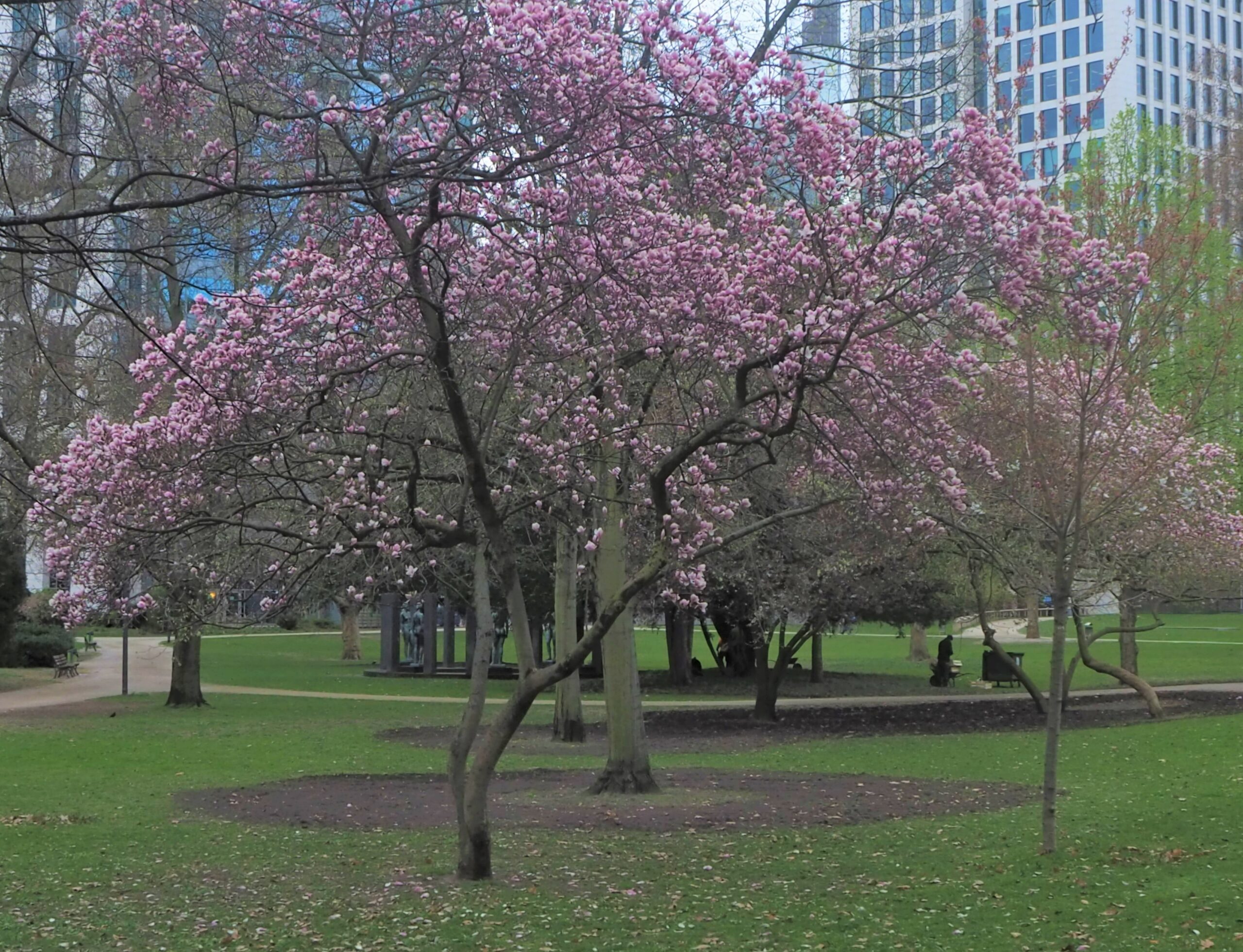 Urban greening and re-naturing for urban regeneration, resilience and ...