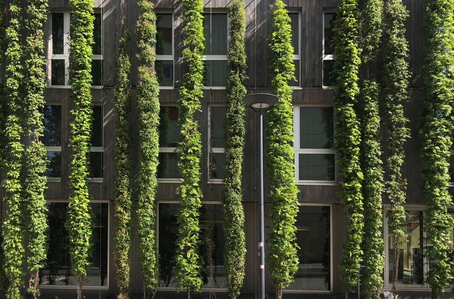 Grüne Fassaden - nbau. NACHHALTIG BAUEN