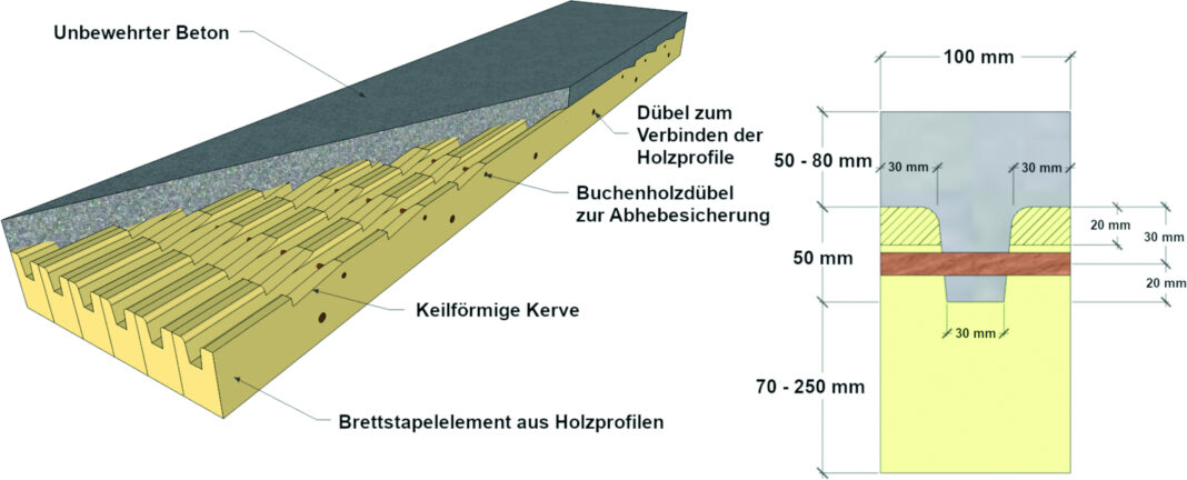 Neuartige Holz-Beton-Verbunddecke mit Kerven und Buchenholzdübeln als ...